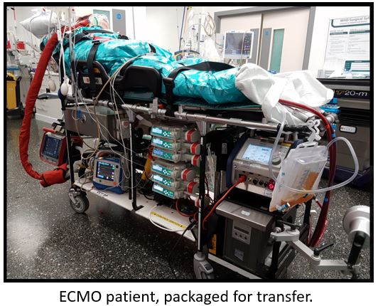 Extracorporeal Membrane Oxygenation for Severe Acute Respiratory ...